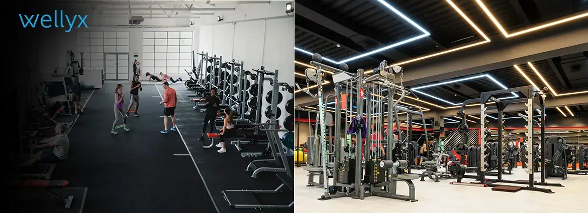 Two Types of Gyms: Which is Right for You?